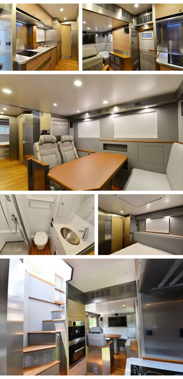 Armadillo Conquistador - FaveThing.com