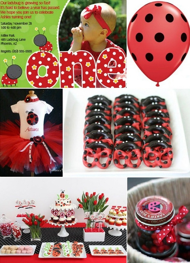 Ladybug 1st Birthday Party - FaveThing.com