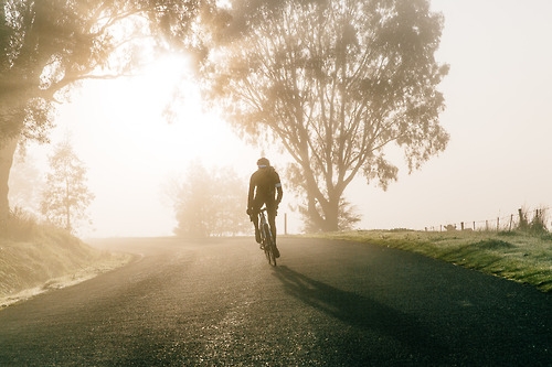 Morning Ride [photo] - FaveThing.com