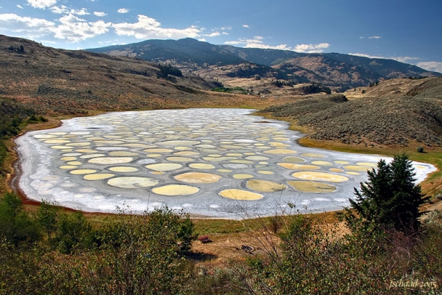 Spotted Lake - British Columbia, Canada - FaveThing.com