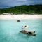 Exuma Banks, Big Major Cay, Bahamas - FaveThing.com